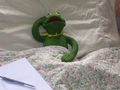 kermit crying in bed